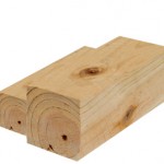 Pinus – Madeireira